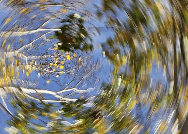 TRACTAMENT DEL VERTIGEN POSICIONAL PAROXÍSTIC BENIGNE (VPPB) - Fisiosalut